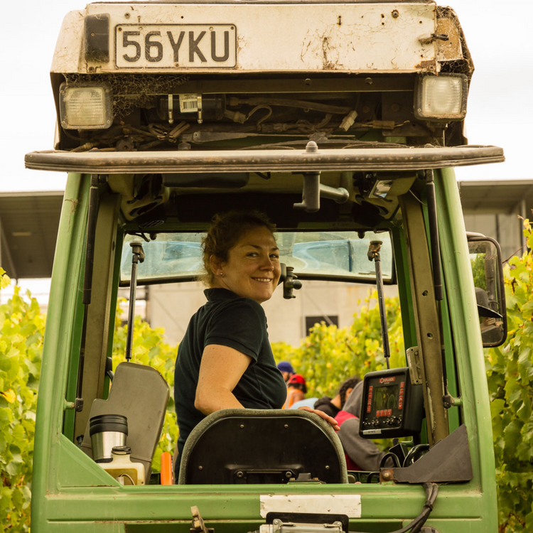 Amoise Wines - Natural Wine and Organic Wine